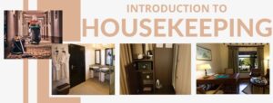 Housekeeping - Introduction, Definition, Role, Responsibilities and ...