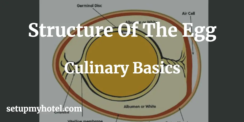 Structure And Composition Of An Egg Culinary Hotels SetupMyHotel
